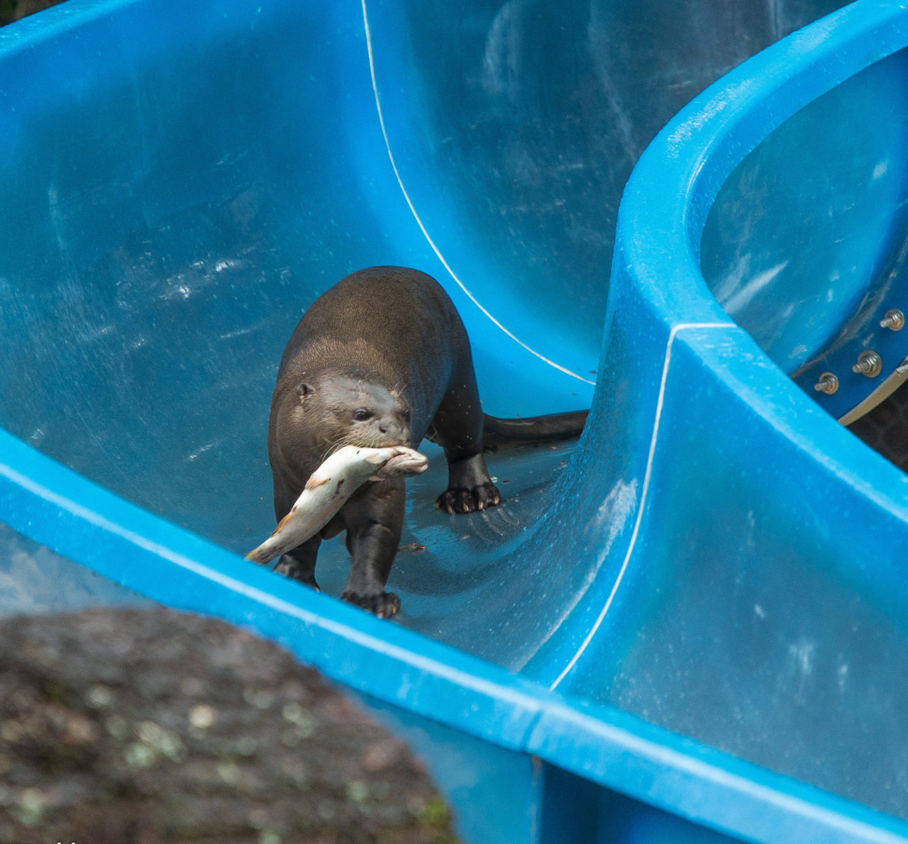 Exhibits – Philadelphia Zoo