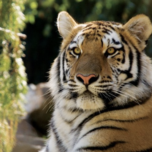 Discover America's First Zoo – Philadelphia Zoo