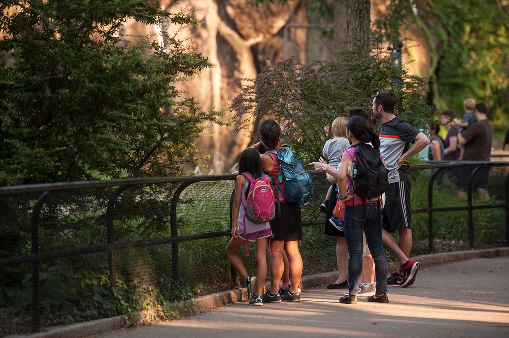 Experience the Zoo | Frequently Asked Questions – Philadelphia Zoo