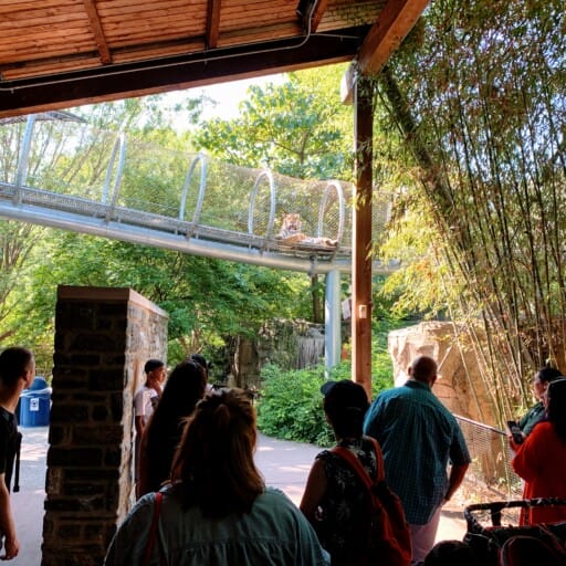Zoo360 | Animals on the Move – Philadelphia Zoo