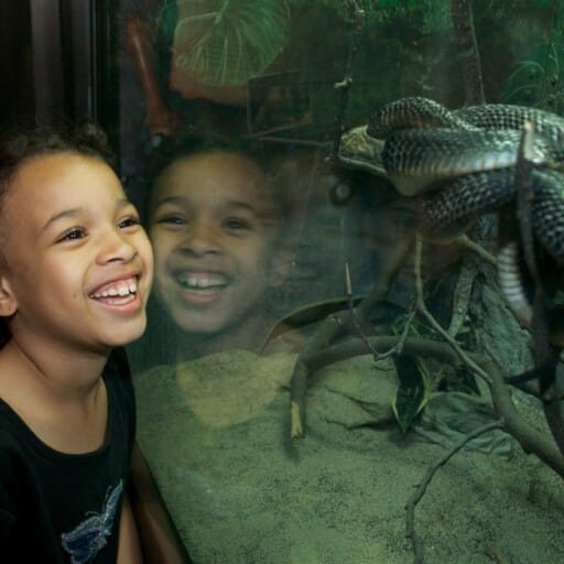 America's First Zoo | History in the Making – Philadelphia Zoo