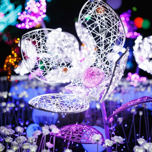 Events at the Zoo | LumiNature – Philadelphia Zoo