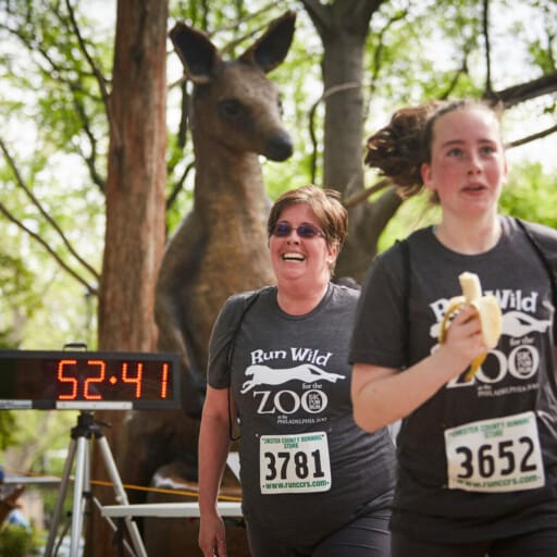 Run Wild for the Zoo 5K & Fun Run – Philadelphia Zoo