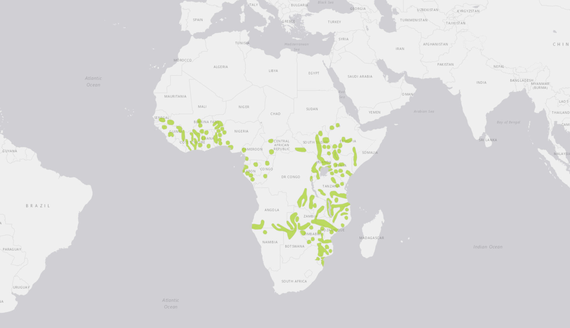 Hippopotamus: Habitat, Diet, Social Structure, Physical Description ...