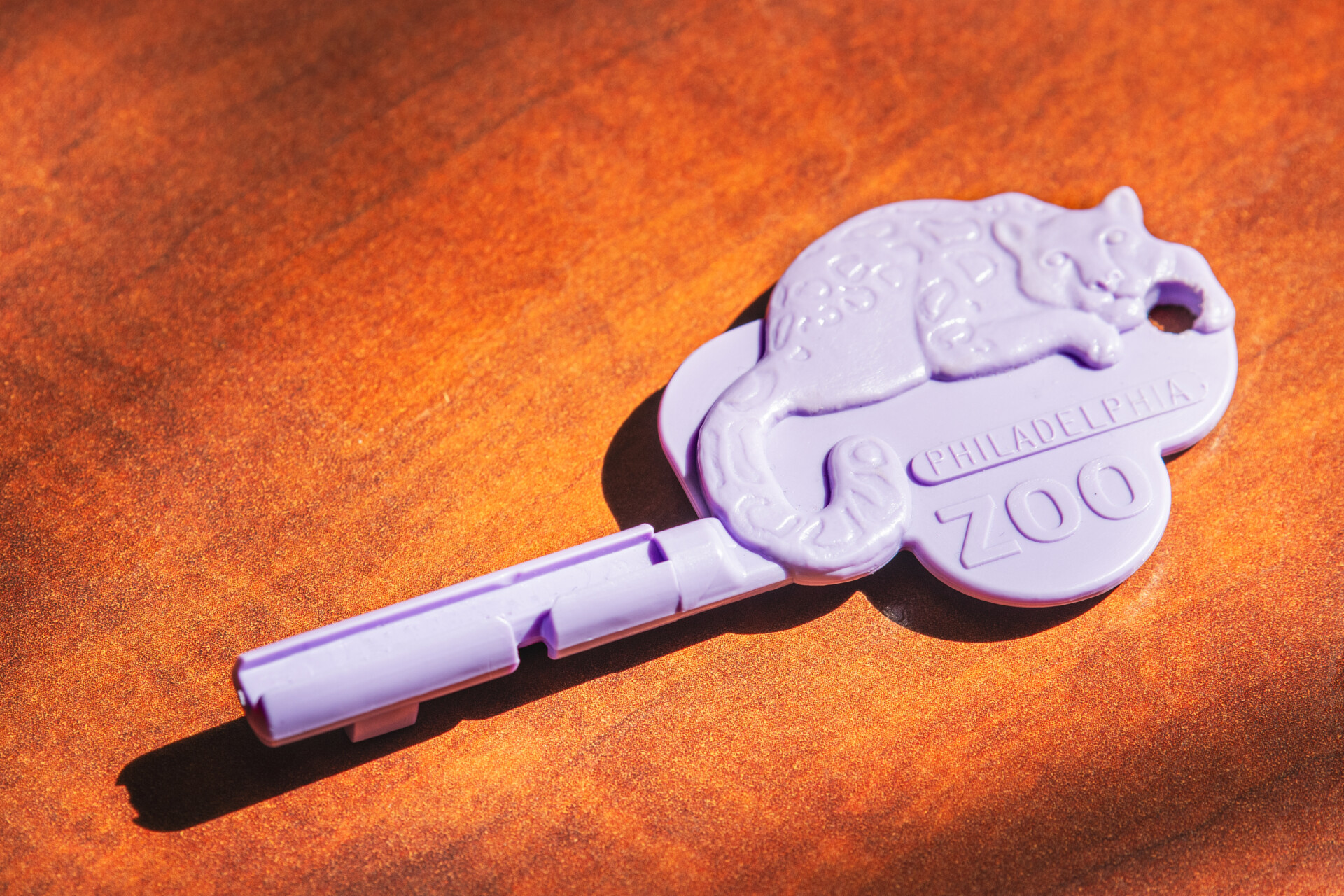 Philadelphia Zoo Announces Arrival of Snow Leopard for Species Survival ...