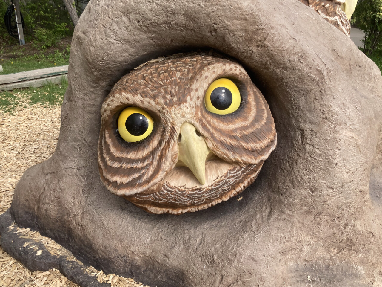 Discover America's First Zoo – Philadelphia Zoo
