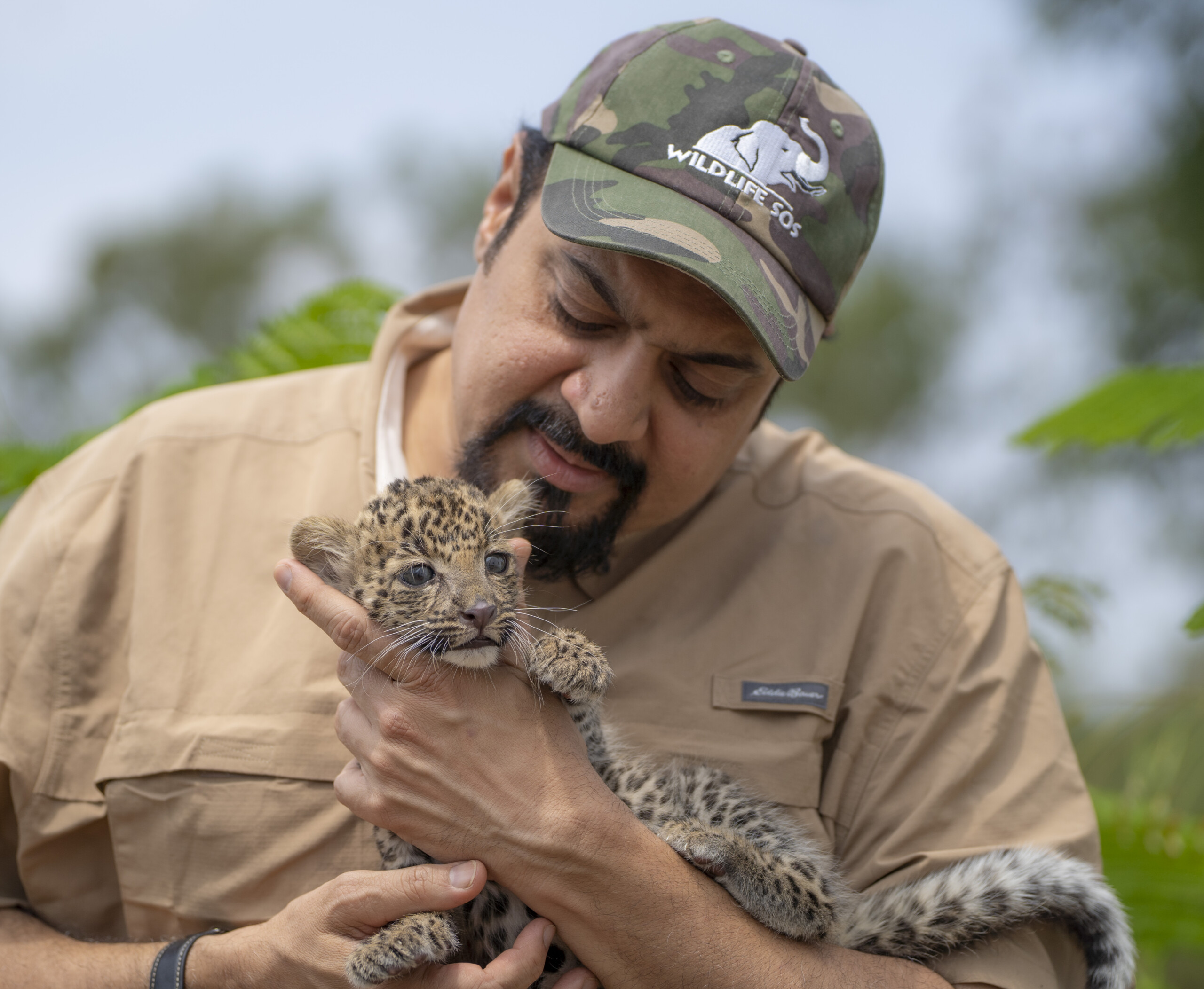 Conservation Speaker Series: Kartick Satyanarayan – Philadelphia Zoo