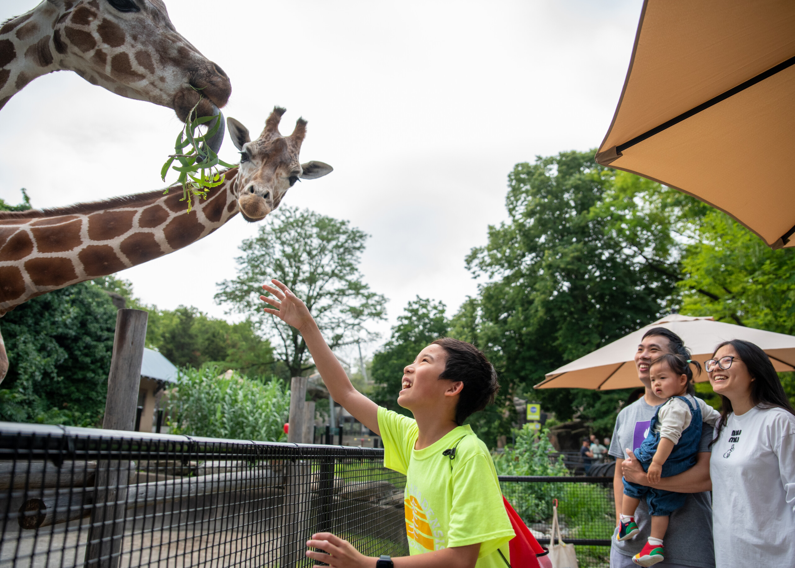 Attractions – Philadelphia Zoo